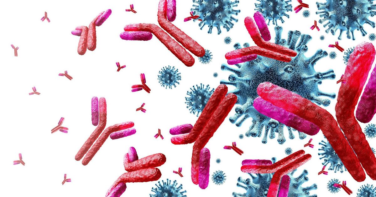 Tetanus, smallpox, measles - blood test for antibodies | Clinic Of ...