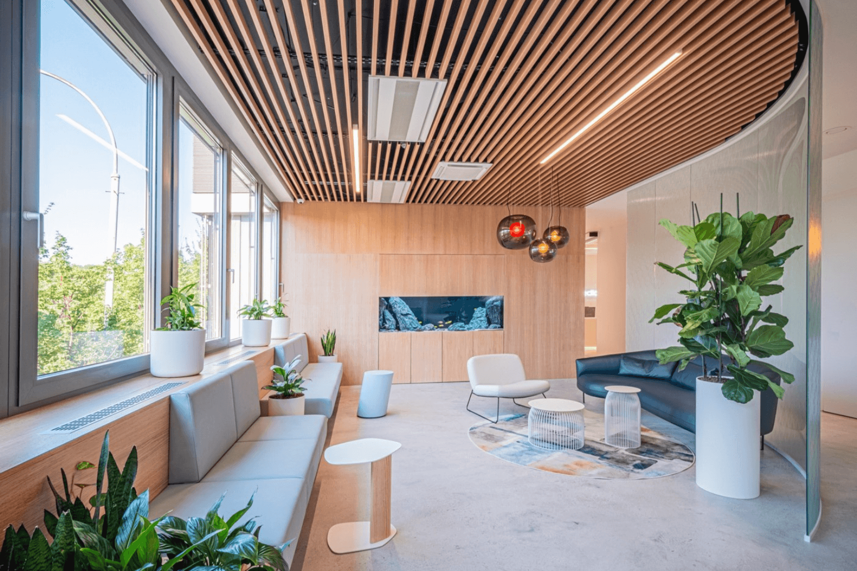 Trichology | Clinic Of Complex Care