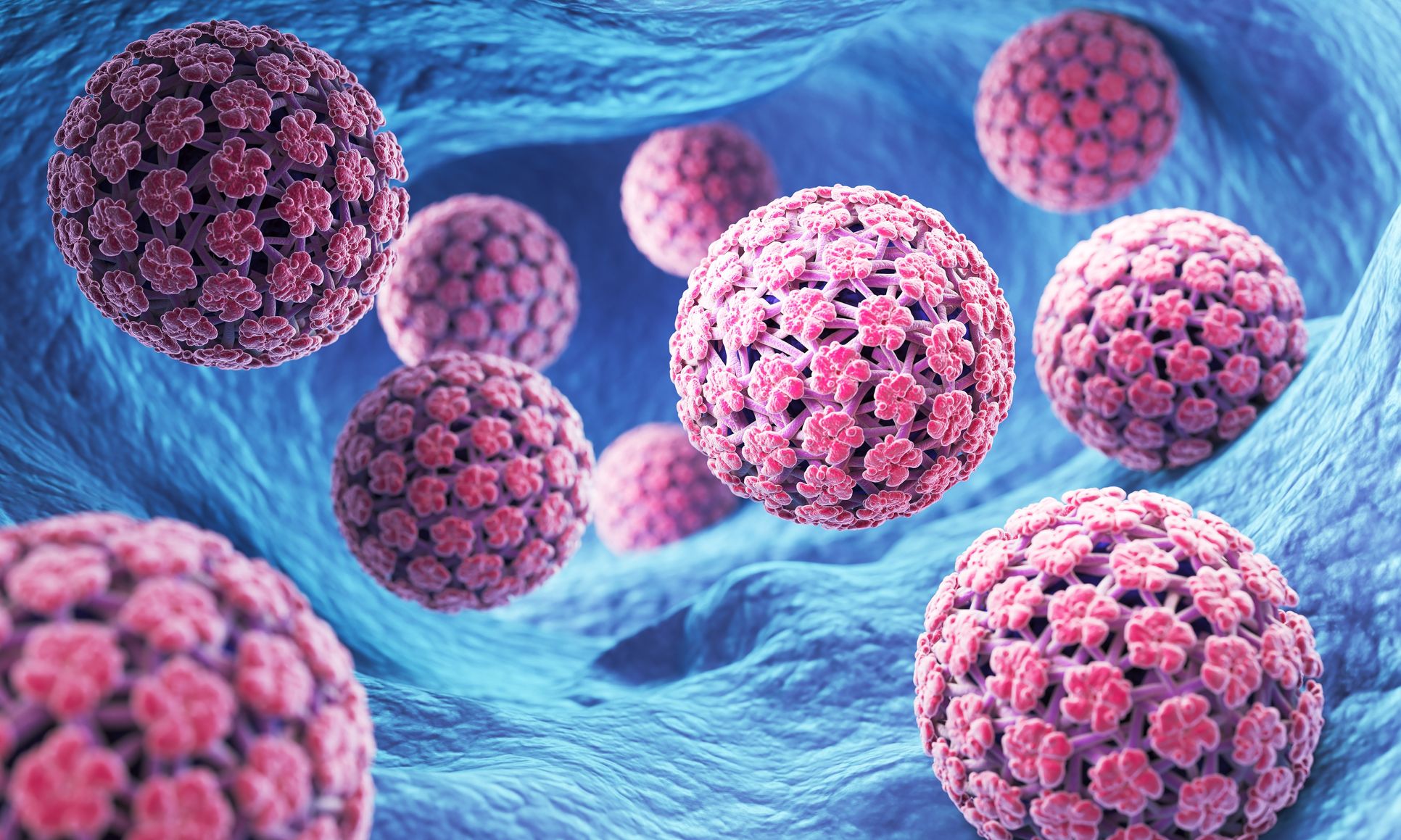 HPV infekce: Typy, zdravotní rizika a proč se netýká jen žen | Klinika ...